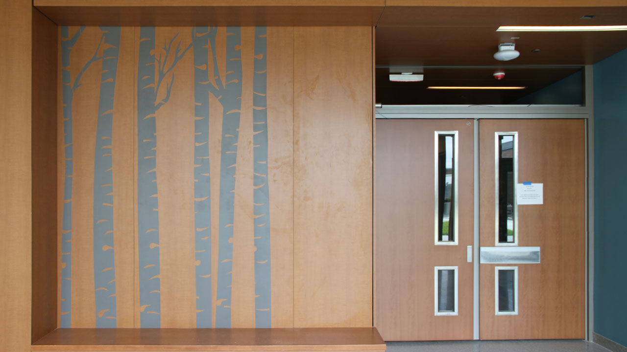 Cherry & Boughton Hospitals - Project Overview | Apple Design